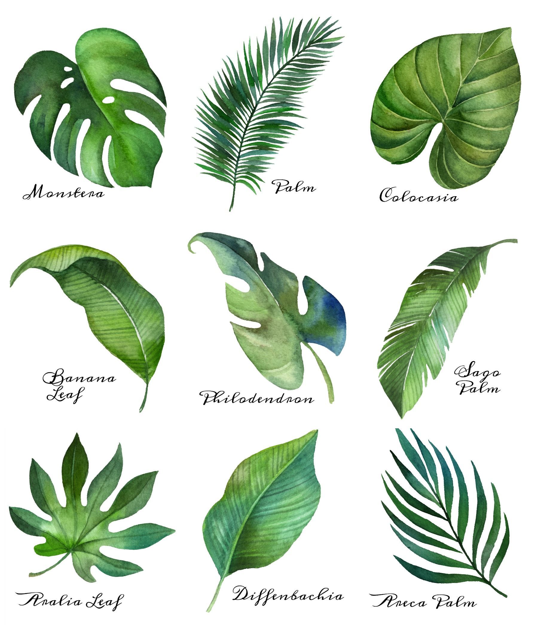 Free Printable Tropical Botanicals - tinkerabout.com